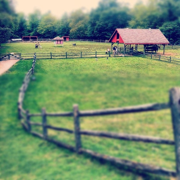 The Friendly Farm - Farm