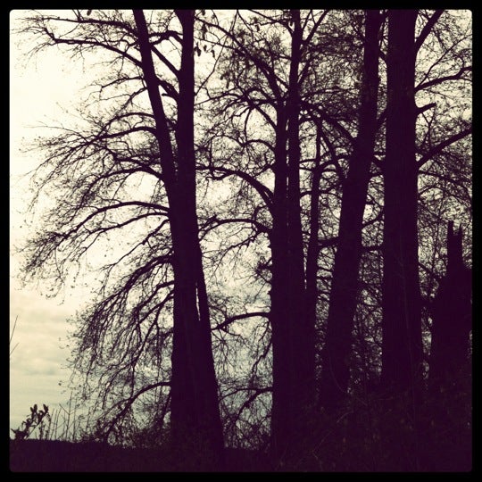 Proctor Neighborhood - Neighborhood in Tacoma