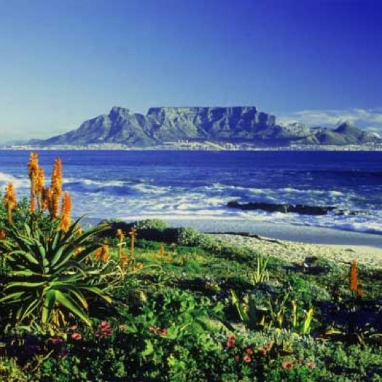 Table Mountain National Park - Table Mountain - Table Mountain Rd