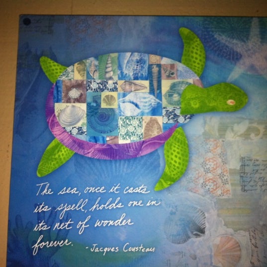 Photos at The Green Turtle Restaurant - 5 tips