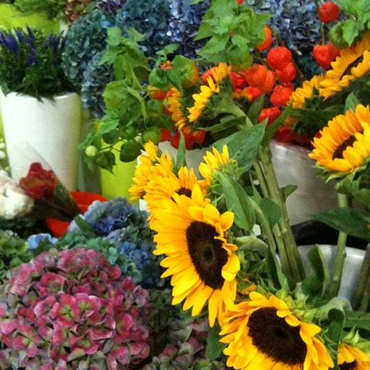 Fioreria Otello - Flower Store