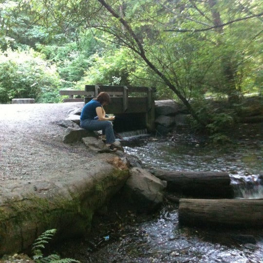 Ravenna Park - Seattle, WA