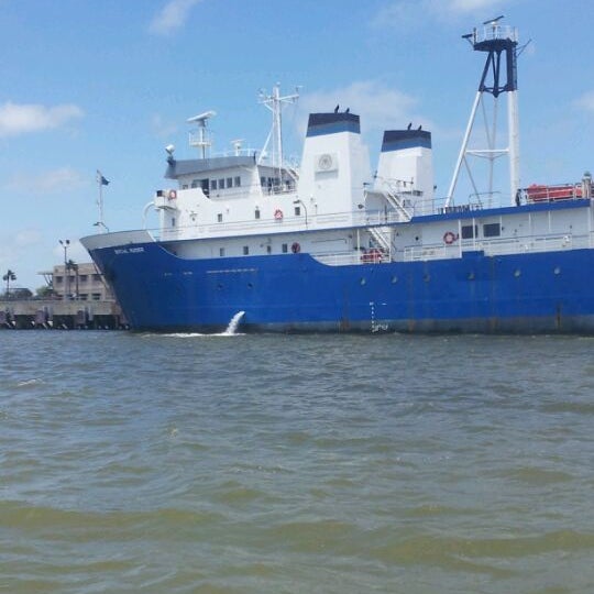 TAMUG Sea Aggie Center - Galveston Harbor - 96 visitors