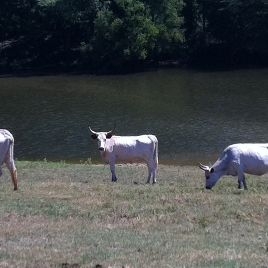 Fitch Farms Galena Plantation - 4 visitors