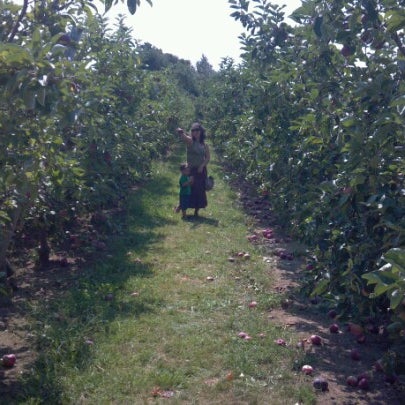 Tougas Family Farm - 27 tips from 1335 visitors