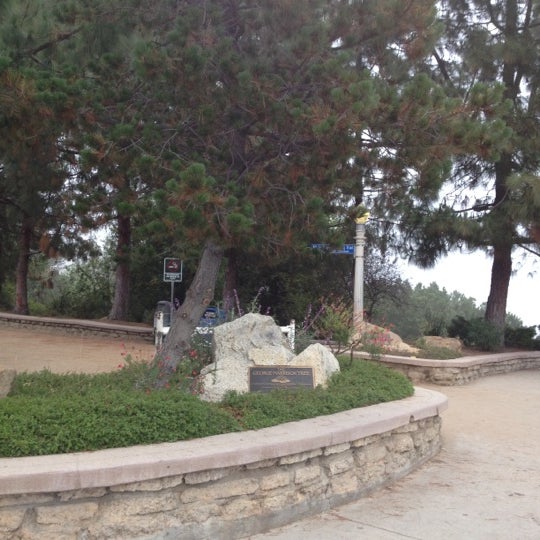 Photos at The George Harrison Tree - 2 tips