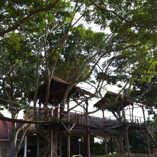 VJC Treehouse - Playground
