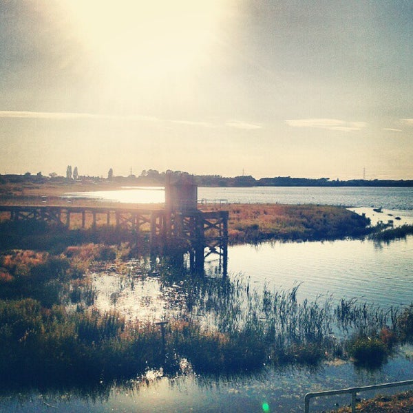 Chasewater Country Park