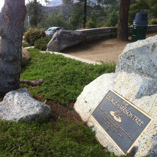 Photos at The George Harrison Tree - 2 tips