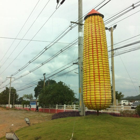 ไร่สุวรรณฯ (Suwan Farm) - 298 Moo 1, Mittraphap Rd