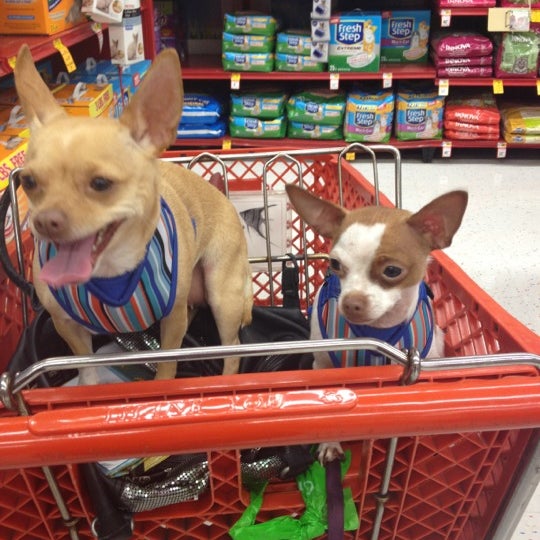 Petco - Pet Store in San Diego