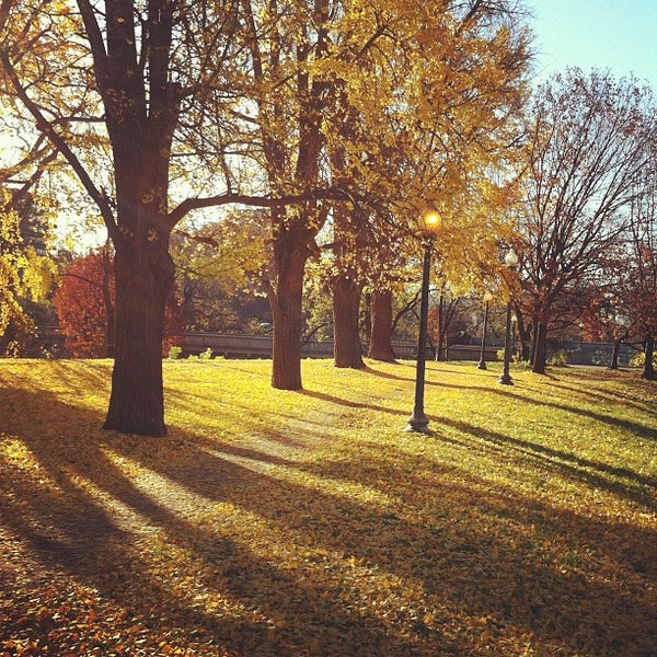 Rose Park - Park in Georgetown