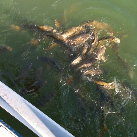 Photos at Lake Ray Roberts Marina - Sanger, TX