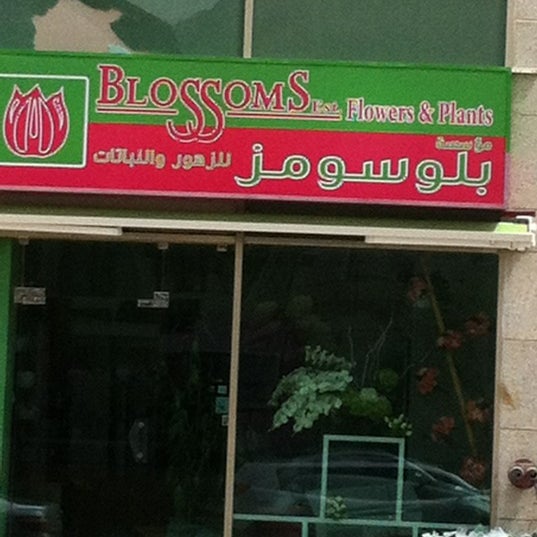 Blossoms Flower - Flower Store