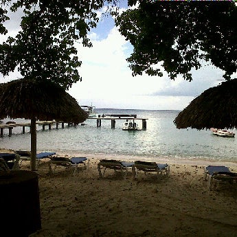 Carmabi Research Institute - Office