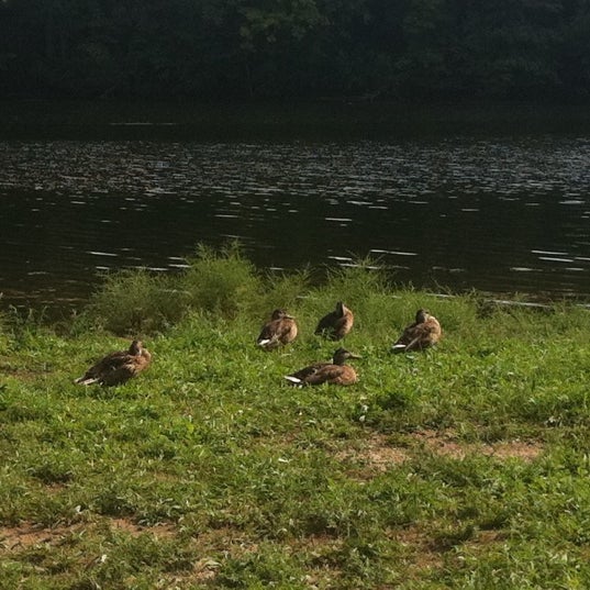 Newburgh Lake - Livonia, MI
