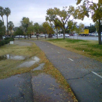 Randolph Park Running Path - Park