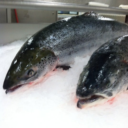 Euclid Fish - Fish Market in Mentor