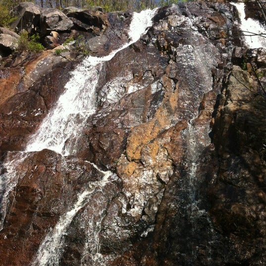 Chute de Luskville Falls - Trail