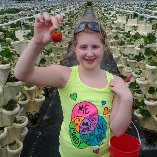 Photos at The Girls Strawberry U-pick - Delray Beach, FL