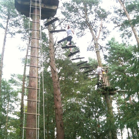 Go Ape Haldon - Other Great Outdoors
