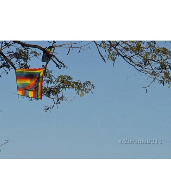 Photos at UP Lagoon - Quezon City District 4 - 3 tips from 181 visitors