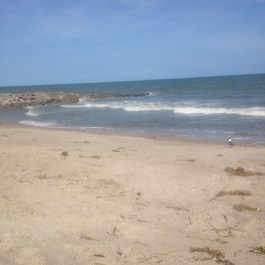 Edisto Beach - 24 tips from 1711 visitors