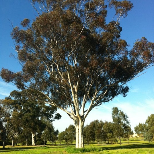 Royal Park - 9 tips from 529 visitors