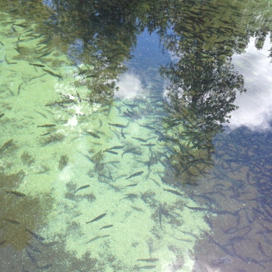 Wizard Falls Fish Hatchery - Camp Sherman, OR