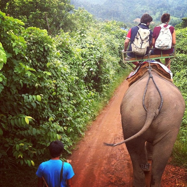 Elephant Reserve - 52 visitors