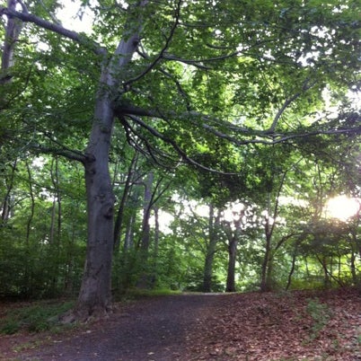 Burholme park - Fox Chase - Burholme - Cottman Avenue