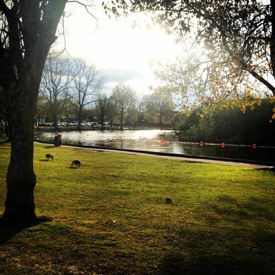 The Lough - 8 tips from 339 visitors