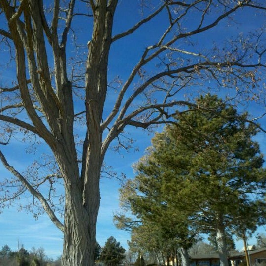 Photos at Haynes Park - 2006 Grande Blvd