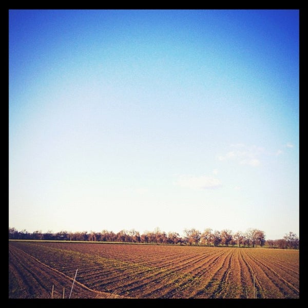 Davis Ranch - Sloughhouse, CA