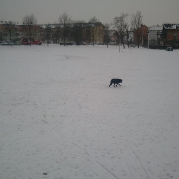 Velika livada za pse - Jarun - 1 tip