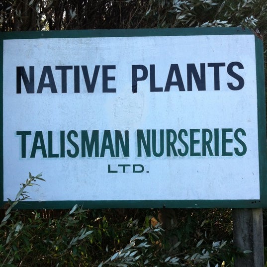 Talisman Native Plant Nurseries - Garden Center in Otaki