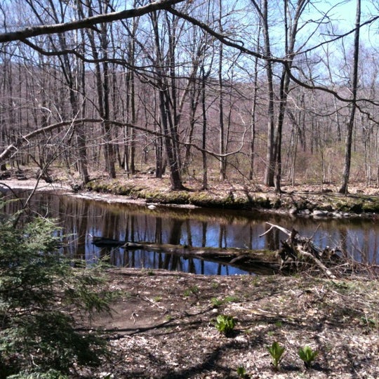 Bozrah Rural Johnson Cemetery - Cemetery in Bozrah