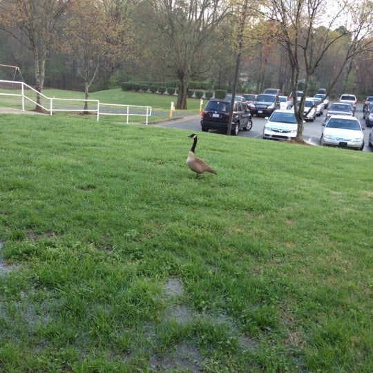 Photos at Holt Elementary School - Durham, NC