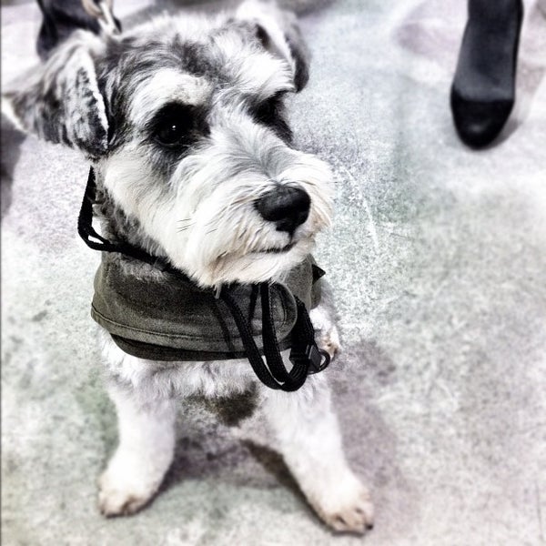 Homewerx (Now Closed) - West End - Vancouver, BC