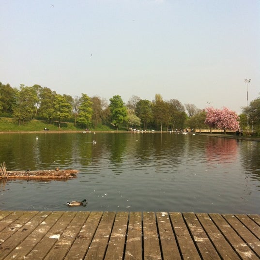 The Pond at Inverleith Park - 4 tips from 164 visitors