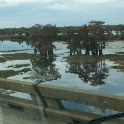 Henderson Swamp - Lake in Henderson