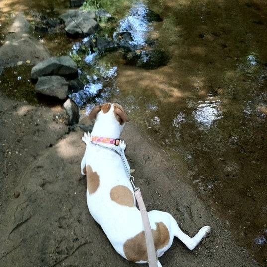 Medlock Park - 3 tips from 419 visitors