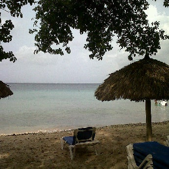 Carmabi Research Institute - Office