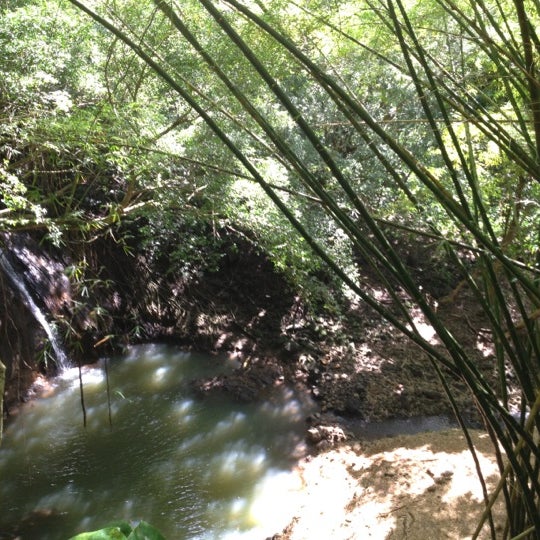 Kipu Falls - 4 tips from 91 visitors
