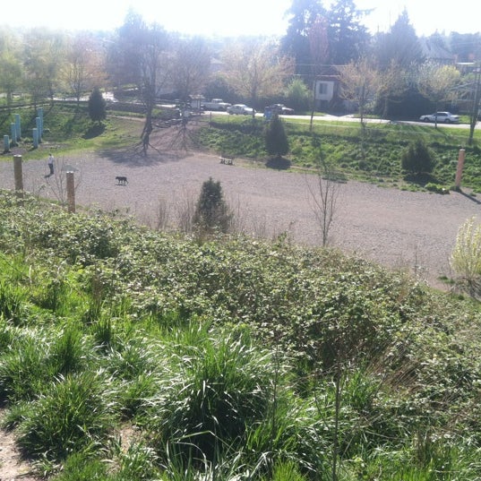 Photos at Blue Dog Pond Park - Seattle, WA