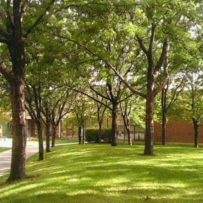 Salt Lake Community College - Redwood Campus - Community College in ...