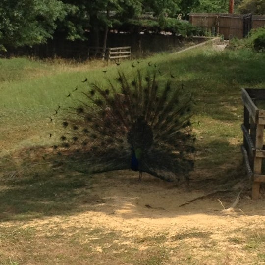 Mesker Park Zoo & Botanic Garden - Zoo in Evansville West Side