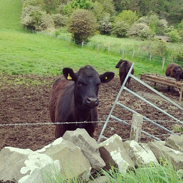 Glororum Caravan Park - 5 visitors