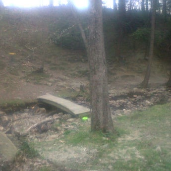 Photos at Marshall Street Pyramids Disc Golf Course - Leicester, MA