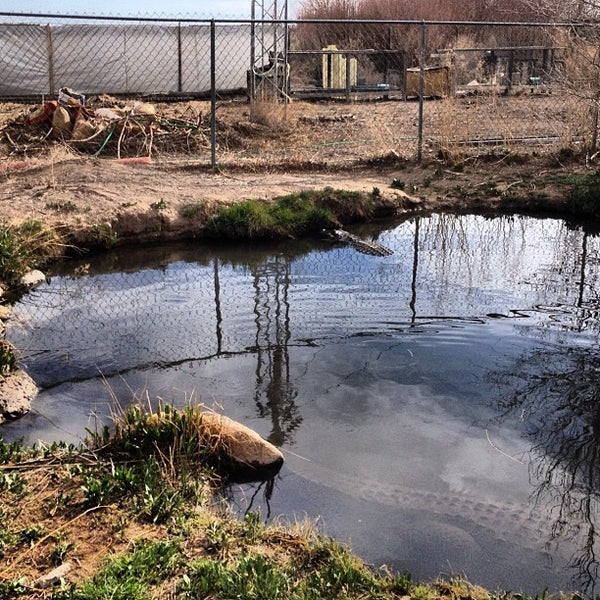 Gator Farm - 6 tips from 226 visitors